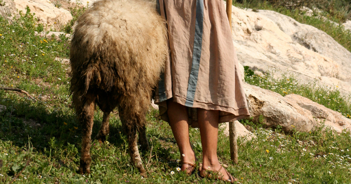 The Not-So-Perfect Shepherd | CBN.com