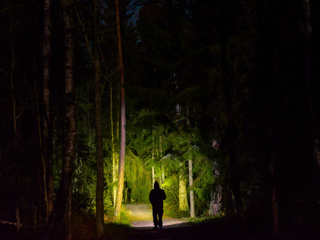 Flashlight In The Dark Woods