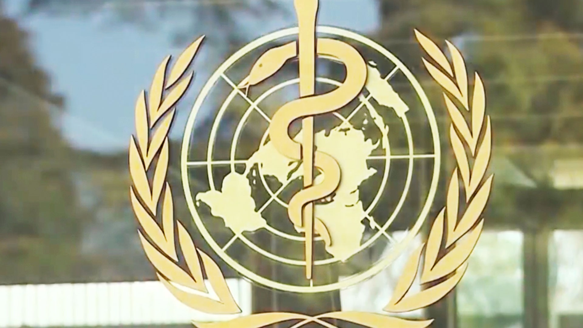 Coalition of Republican Senators Urge Biden Admin to Not Give WHO ...